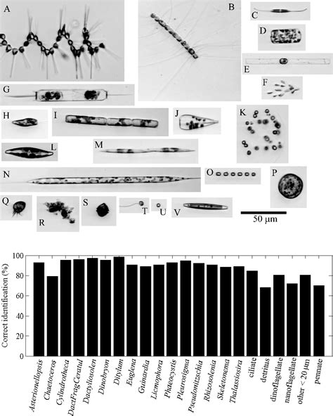 Figure 1 From Optical Plankton Imaging And Analysis Systems For Ocean Observation Semantic Scholar