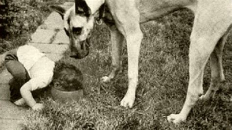 Documenting Microservices