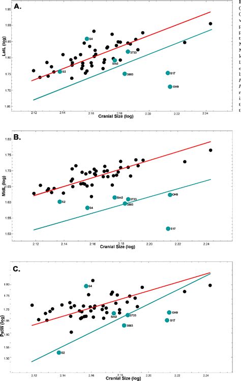 Figure 5 From Temporal Lobe Evolution In Javanese Homo Erectus And African Homo Ergaster