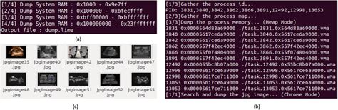 Memory Introspection And Structured Data Extraction Download