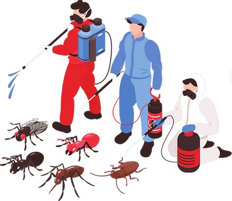 Msdgroup Борба с вредители ДДД Ловеч Bulgaria