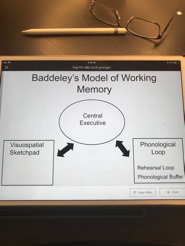 Chapter 8 Memory Flashcards Quizlet
