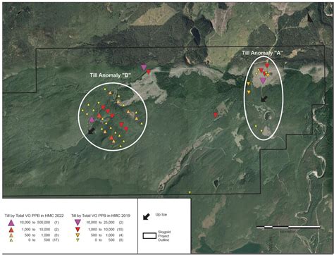 Gold Tree Completes First Exploration Program At Skygold Project