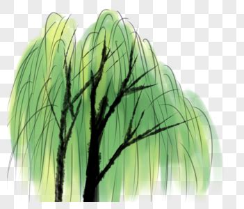350000 Cartoon Willow Tree Hd Photos Free Download