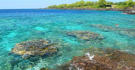 Snorkeling Two Steps The Crown Jewel Not To Be Missed