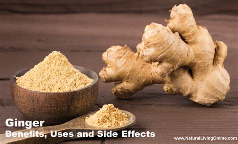 Ginger Benefits Uses And Side Effects