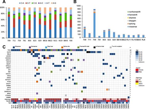 Next Generation Sequencing In Nsclc A Percentages Of Non Silent
