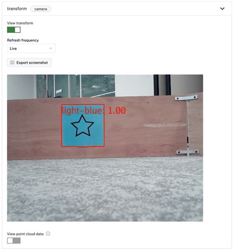 Configure An Mlmodel Detector Or Classifier Vision Service