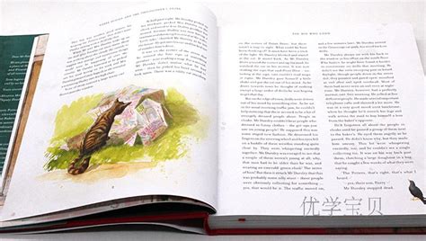 现货进口英文原版小说 Harry Potter And The Philosophers Stone 1 2 3 4 5插图精装大开本 Jk罗琳哈利波特与魔法石原版彩绘版 虎窝淘