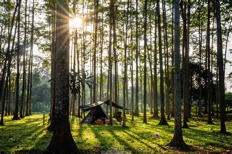 ทิกเกอร์แคมป์ Nakhon Nayok