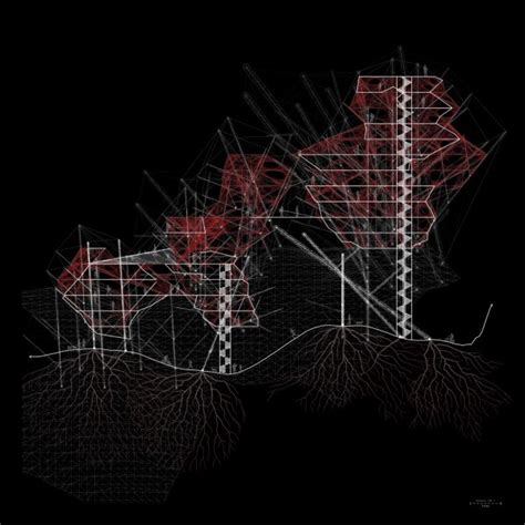 Spider Behaviour Booooooom Create Inspire Community Art
