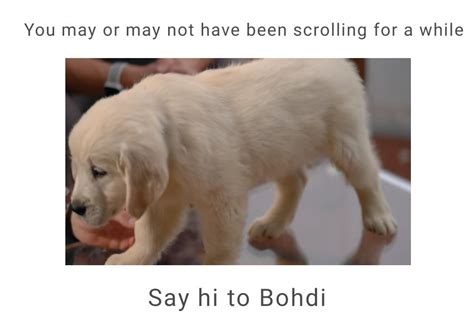 Hi Bodhi Scrolller