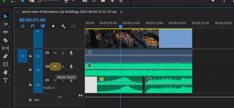 How To Quickly Mute Clips In Premiere Pro Envato Tuts