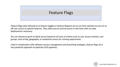 Feature Flagspdf