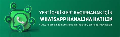 Porno Nedir Pornografi Ne Demek Neverfap Akademi