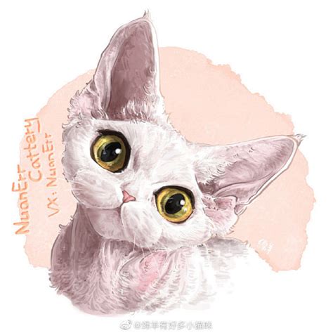德文卷毛猫系列 by 绵羊有好多小猫咪 喵星人 插画