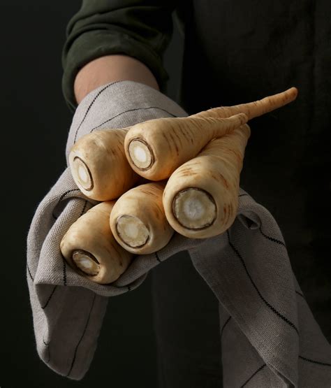 Buy Parsnip Hollow Crown Seeds She Grows Veg