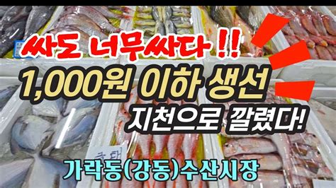 생선값 왜 이래 이러다 망하는거 아니야 오징어 Box 3만원대 실화 병어 청어 갈치 조기 1000원대 생선