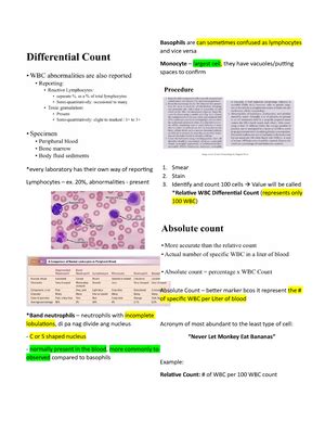 WISP Plus Terms And Conditions TERMS AND CONDITIONS FOR THE WISP PLUS PROGRAM A DEFINITION