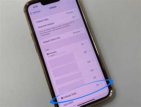 How To Activate Esim On Your Iphone And Disable Your Primary Sim Alosim