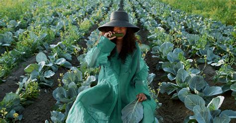 녹색 녹지 농업 분야 농작물 농장 농장 생활 드레스 만지는 맑은 날 먹는 모자 브라 시카 올레 라 세아 사람 선풍기 선햇 세련된 드레스