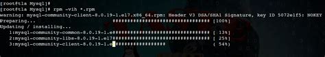 How To Install Mysql 8 On Amazon Linux 2 Ec2 Taste The Linux