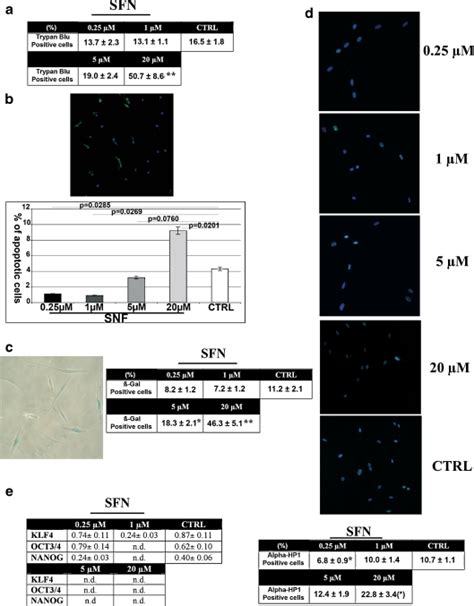 Dose Dependent Effects Of R Sulforaphane Isothiocyanate On The Biology Of Human Mesenchymal Stem