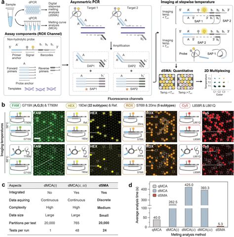 High‐multiplex Egfr Genotyping Using Digital Stepwise Melting Analysis