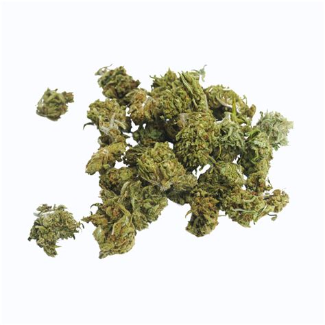 Bubble Pine Small Buds De Cbd Pas Chères Mais Puissantes Lfeh
