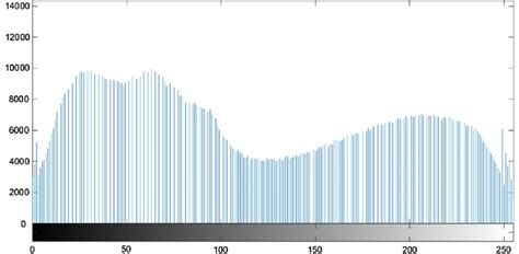Gray Image Histogram Obtained From Gamma Correction Download Scientific Diagram