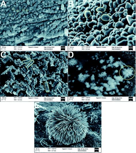 Coated Silver Nanoparticles Synthesis Cytotoxicity And