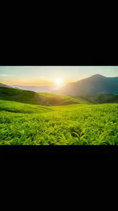 Mohamed Rifkhan On Linkedin Travel To Srilanka 🇱🇰 With Mohamed Rifkhan 0094776188622