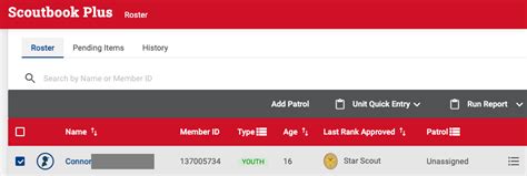 Scoutbook Plus Advancement History Report Returns All Scouts When One Scout Is Selected