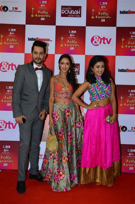 At Indian Telly Awards Red Carpet On 28th Nov 2015 Indian Telly