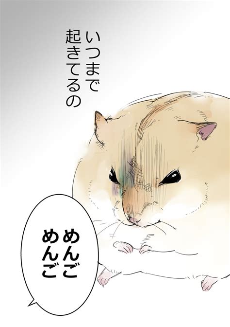 「年末だし掃除終わってないしと夜更かししてたら怒ってらぁ。 もうとっくに消灯時間すぎてるからね。寝るはむはむ 」はむはむの漫画