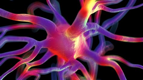 Inesc Id Seminar Fusa Katada Técnico Lisboa