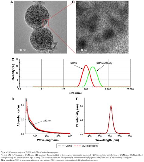 Quantum Dots Based Lateral Flow Immunoassay Combined With Image Analys Ijn