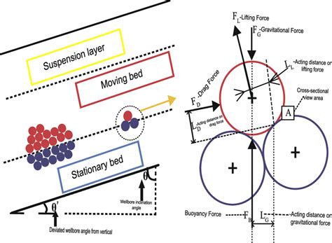 Schematic Diagrams Of Horizontal Segment And Forces Acting On Particles