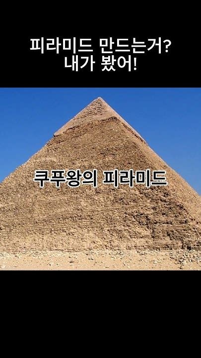 피라미드 건설을 본 나무 Youtube