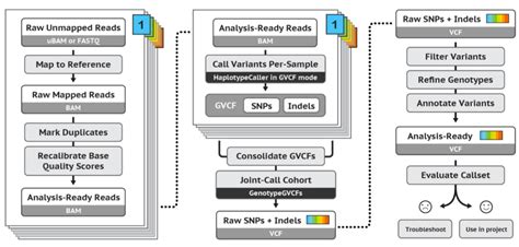 BS High Throughput Bioinformatics Re Sequencing And SNP Calling