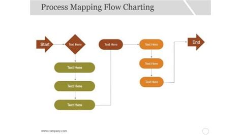 Process Mapping Flow Charting Ppt Powerpoint Presentation Infographic