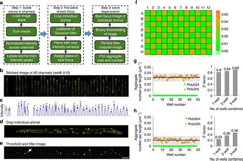 The Automated Image Analysis For Estimating The Aggregate Parameters