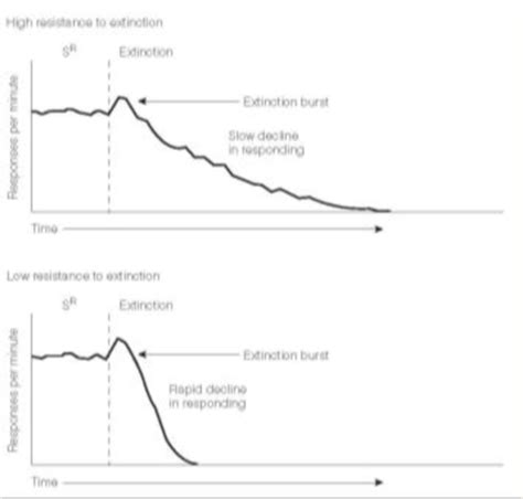 Extinction Flashcards Quizlet