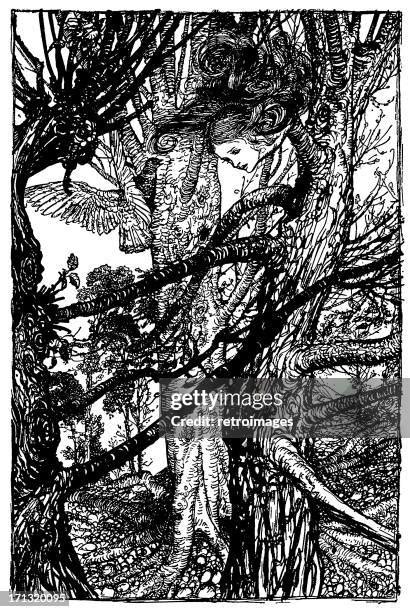 Alice In Wonderland Tree Photos And Premium High Res Pictures Getty
