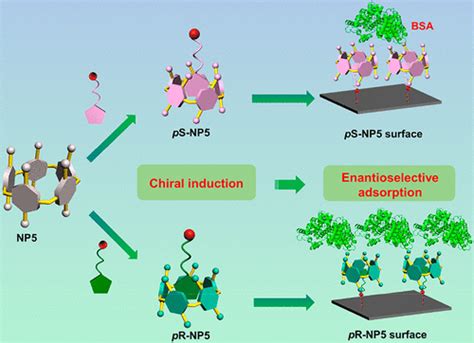 Guest Induced Planar Chiral Pillar 5 Arene Surface For Selectively Adsorbing Protein Based On