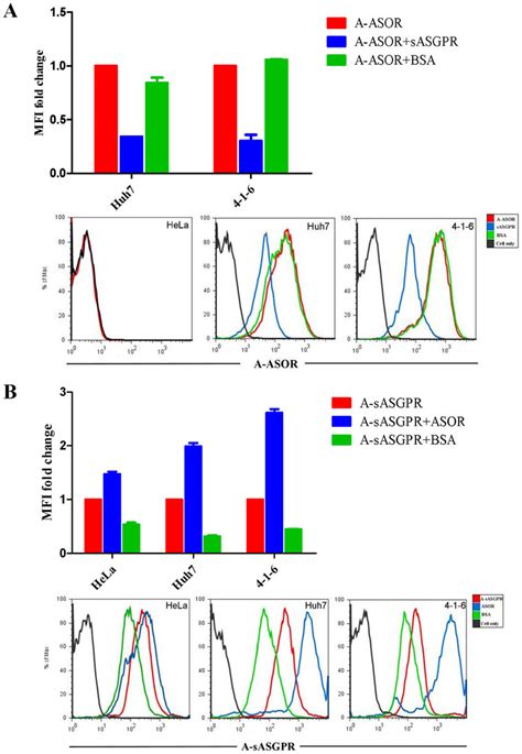 Ligands Binding Assay The Binding Of Fluorescence Labeled A Asor A Download Scientific