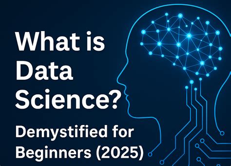 What Is Data Science Demystified For Beginners 2025