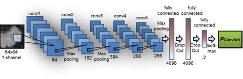 Deep Convolutional Networks For Pancreas Segmentation In Ct Imaging Deepai