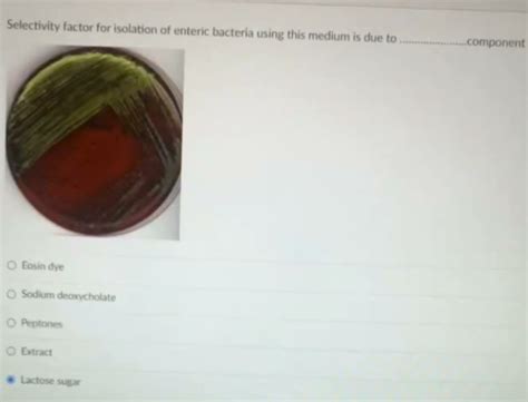 Solved Selectivity Factor For Isolation Of Enteric Bacteria