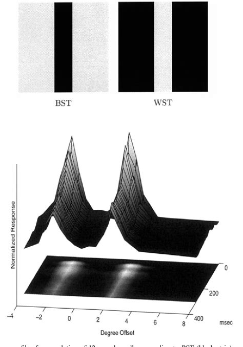 Figure 19 From The Role Of The Primary Visual Cortex In Higher Level
